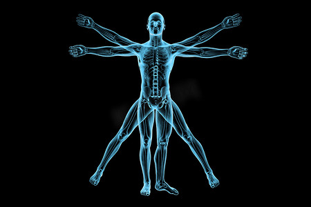 达芬奇人体摄影图片-达芬奇人体摄影作品-千库网