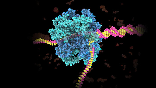dna条摄影图片-dna条摄影作品-千库网