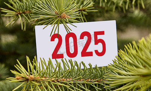 2025摄影图片-2025摄影作品-千库网