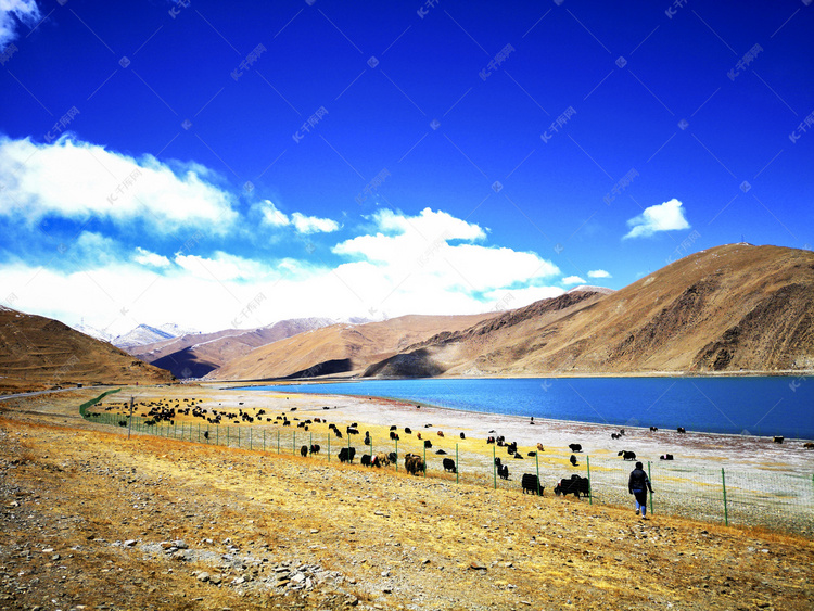 西藏土地自然风光摄影图高清摄影大图-千库网