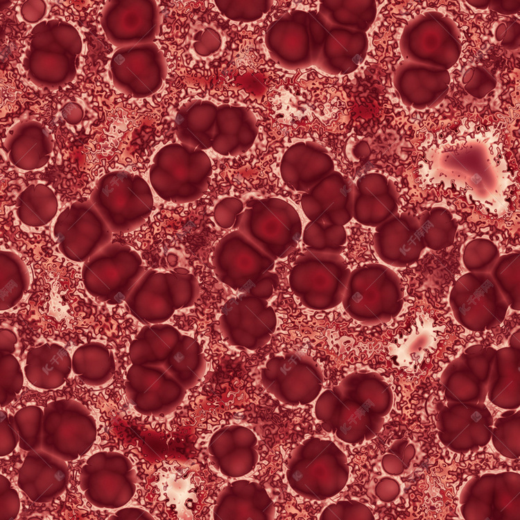 在显微镜下面的细菌高清摄影大图-千库网