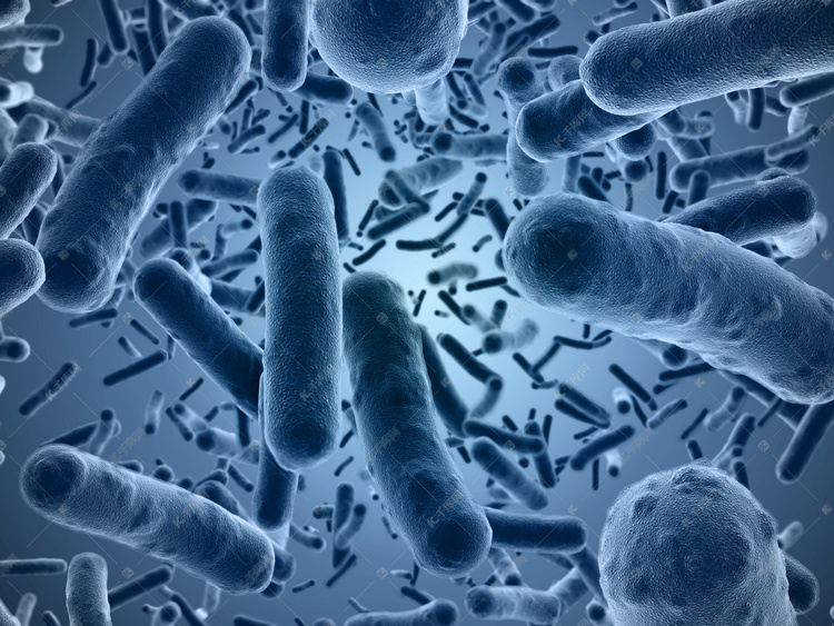 在显微镜下面的细菌高清摄影大图-千库网