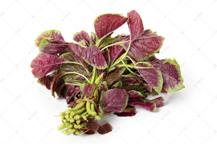 一些蔬菜成分的白色背景苋菜高清摄影大图-千库网
