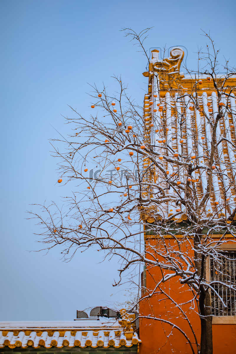 故宫屋檐雪景摄影图高清摄影大图-千库网