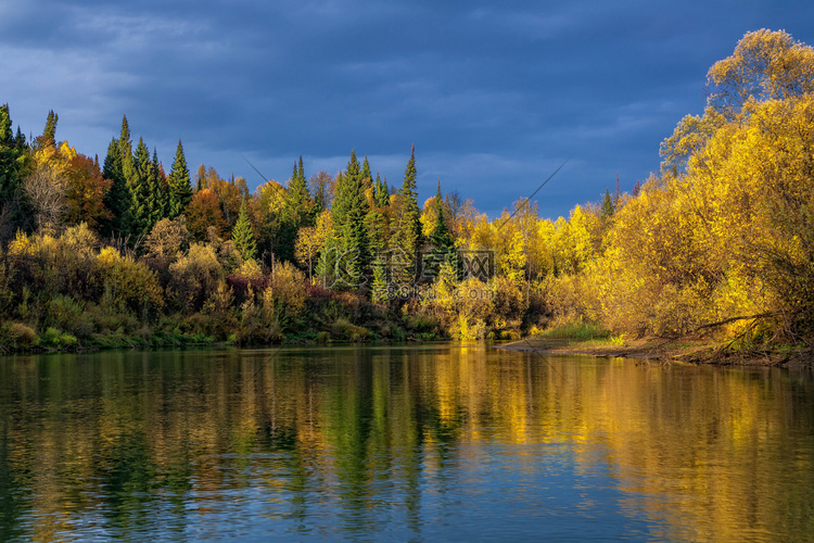 西伯利亚针叶林高清摄影大图-千库网