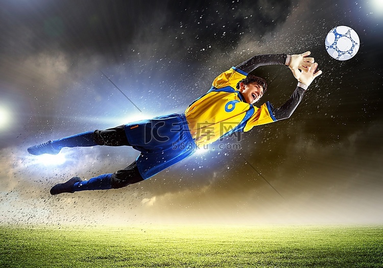 守门员接球皮划艇鸟类高清摄影大图-千库网