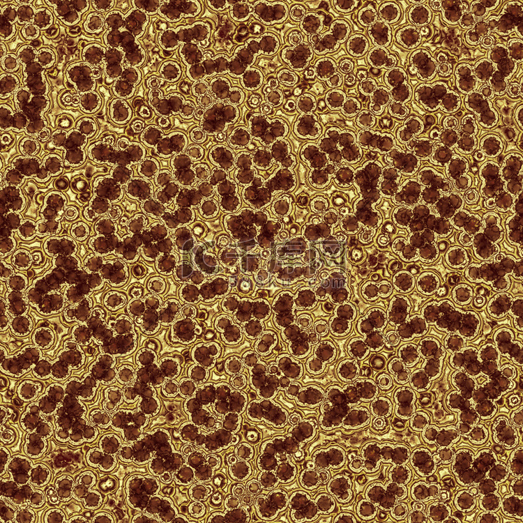 在显微镜下面的细菌高清摄影大图-千库网