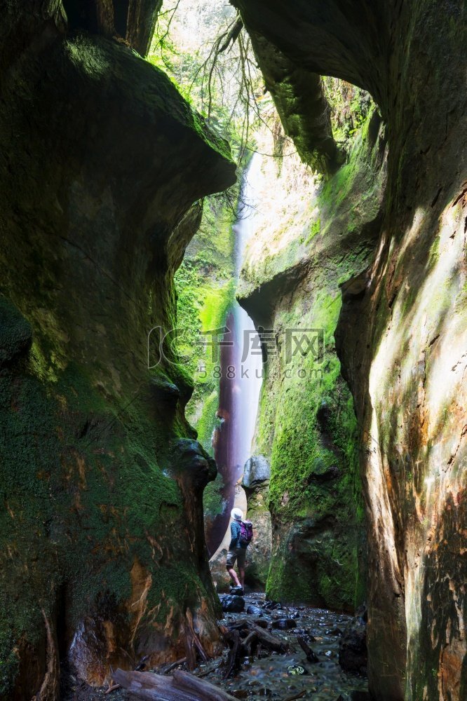 加拿大温哥华岛 Sombrio 海滩峡谷内的秘密瀑布树洞穴溶洞高清摄影大图-千库网