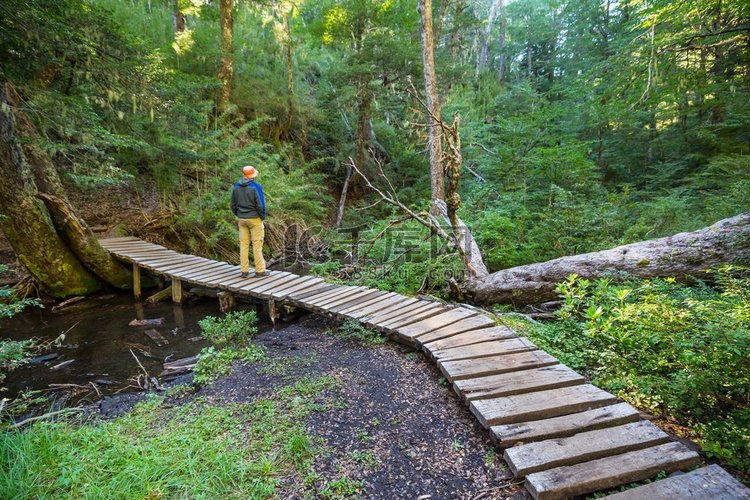 在南美洲智利的火山地区 (Araucania) 远足的人高清摄影大图-千库网