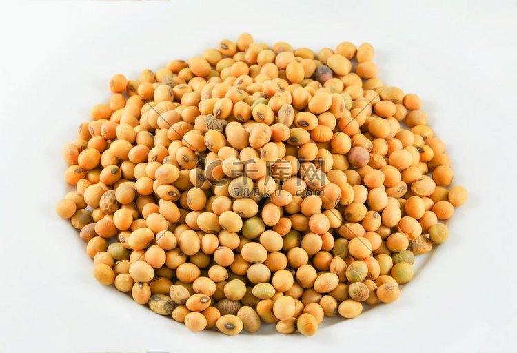 白色背景中的大豆或大豆籽粒巧克力手链高清摄影大图-千库网