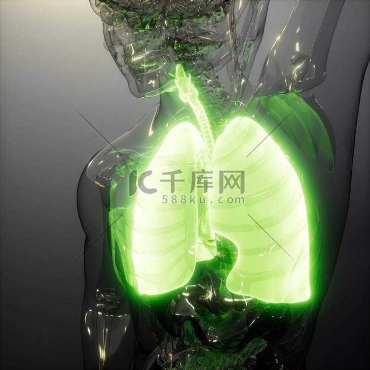 人类肺部发光的科学解剖扫描。高清摄影大图-千库网