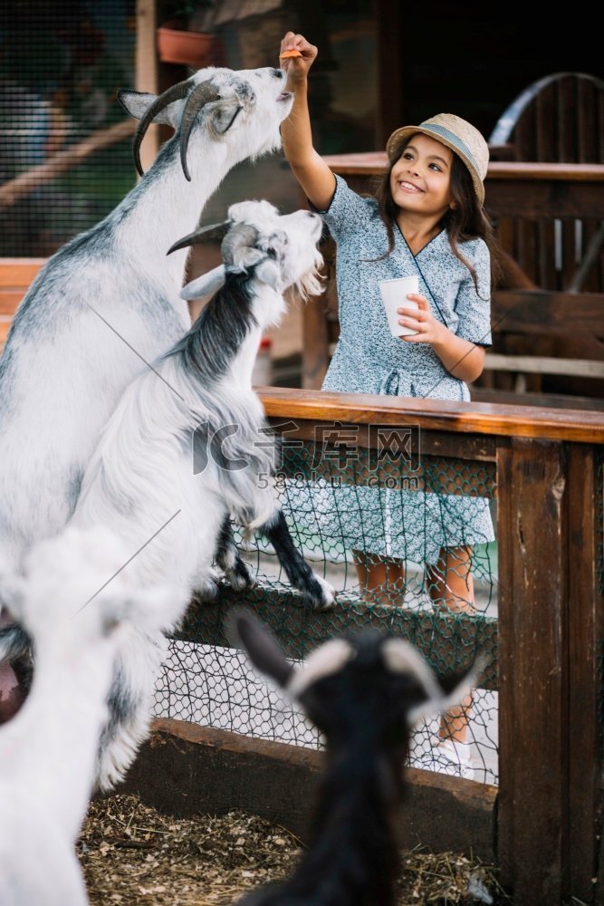 肖像微笑的女孩喂薯条山羊谷仓阿富汗猎犬苏俄猎狼高清摄影大图-千库网