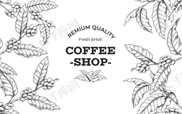 咖啡树框架。背景图片免费下载_海报banner/高清大图_千库网(图片编号6220781)