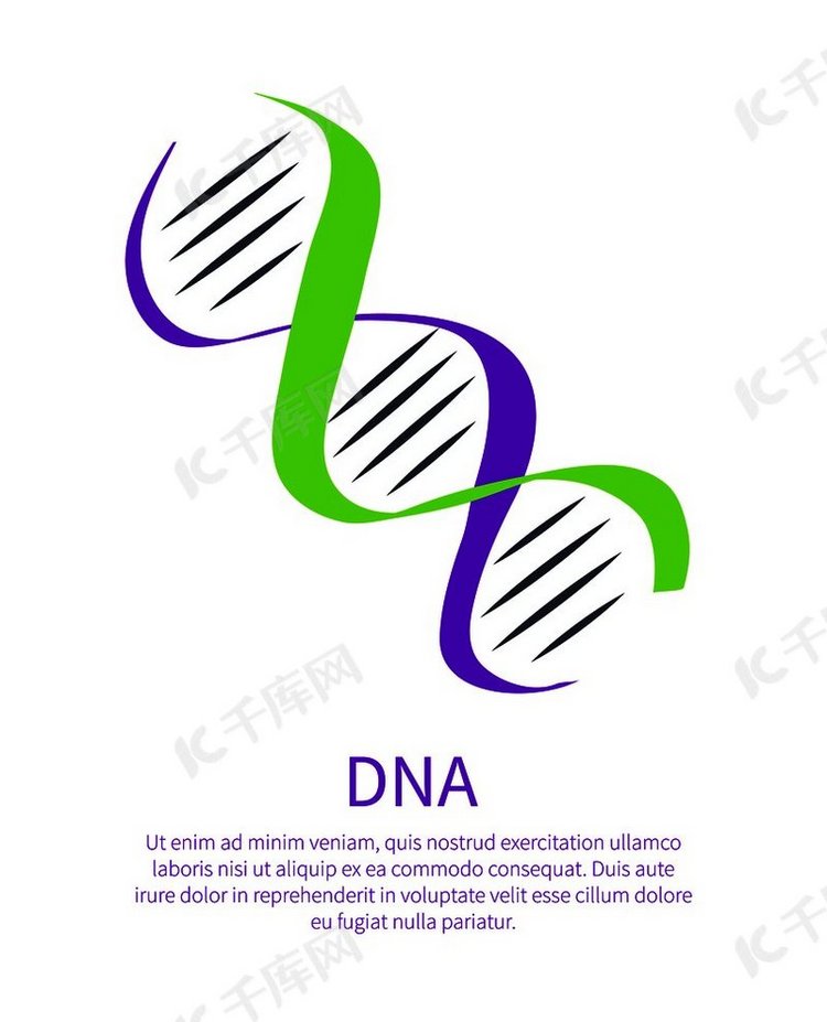 遗传个人代码的 DNA 图标，带有文本位置的脱氧核糖核酸链符号，携带遗传指令向量的核苷酸标识。背景图片免费下载_海报banner/高清大图_千 ...