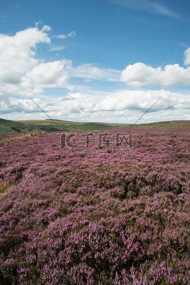 英格兰峰区夏季 Burbage 边缘和岩石的美丽景观图像花海兴安杜鹃高清摄影大图-千库网