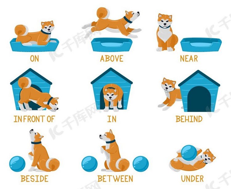 与卡通小狗一起学习英语介词。背景图片免费下载_海报banner/高清大图_千库网(图片编号6319421)