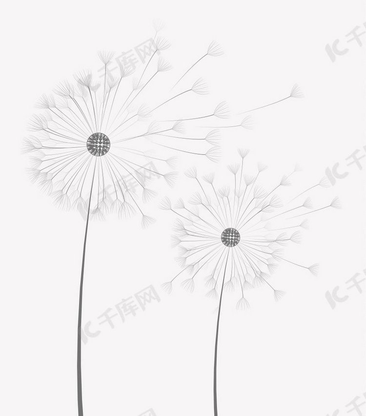 矢量蒲公英花。背景图片免费下载_海报banner/高清大图_千库网(图片编号6355821)