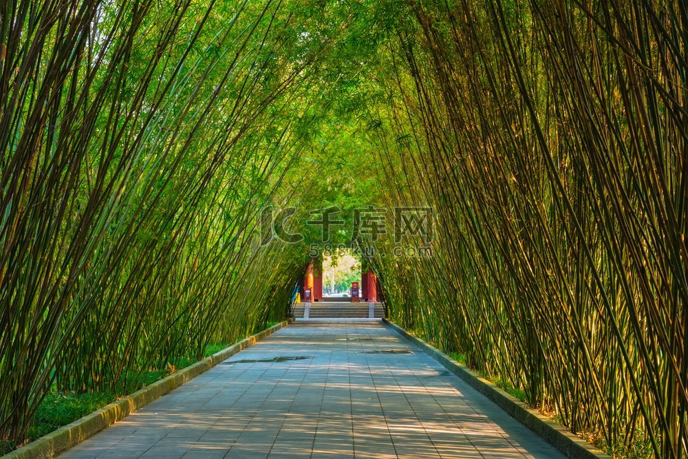 Path in bamboo forest brove in Wangjiang Pavilion (Wangjiang Tower ...
