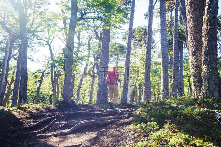 在南美洲智利的火山地区 (Araucania) 远足的人高清摄影大图-千库网