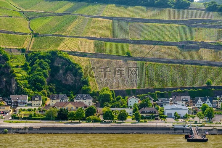 德国莱茵河谷 (Rhine Gorge) 的葡萄园高清摄影大图-千库网