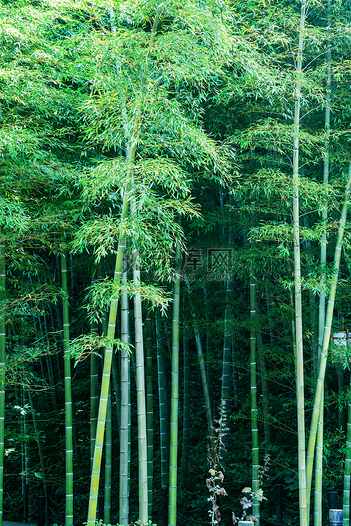 溧阳图片-溧阳素材-溧阳模板图片下载-千库网