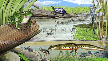 鳖卡通背景图片大全-鳖卡通高清照片下载-千库网