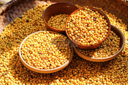 豌豆摄影图片-豌豆摄影作品-千库网