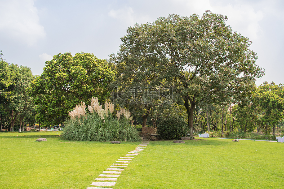 公园草地下午草地公园无摄影图配图高清摄影大图-千库网