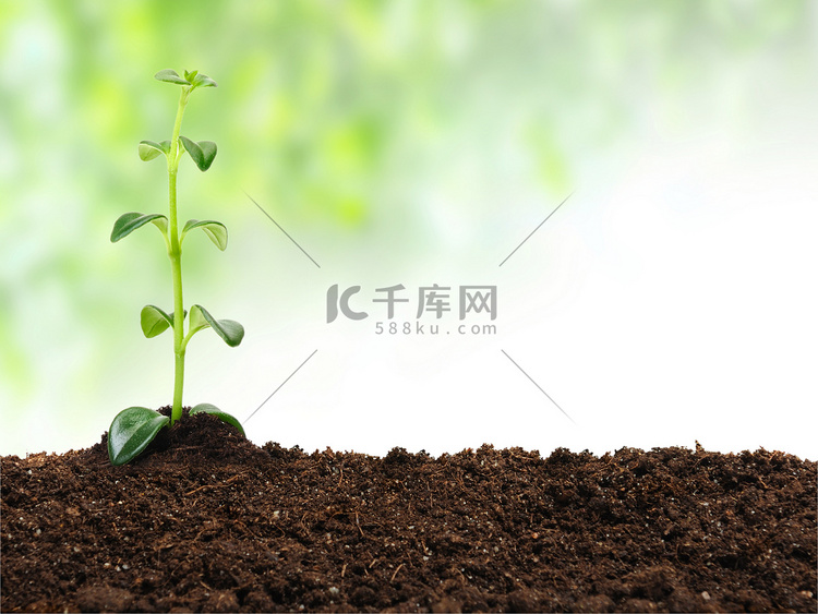 growth高清摄影大图-千库网