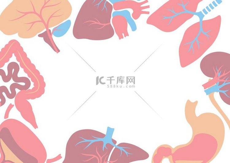 内脏背景人体解剖学医疗保健和医学教育设计内脏背景人体解剖学医疗保健和医疗设计背景图片免费下载_海报banner/高清大图_千库网(图片编号 ...