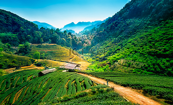 泰国图片_泰国素材-泰国图片大全-千库网