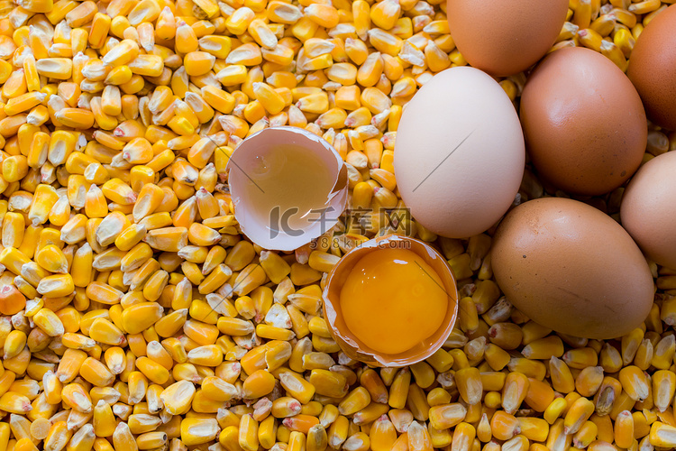 鸡蛋和黄色玉米高清摄影大图-千库网