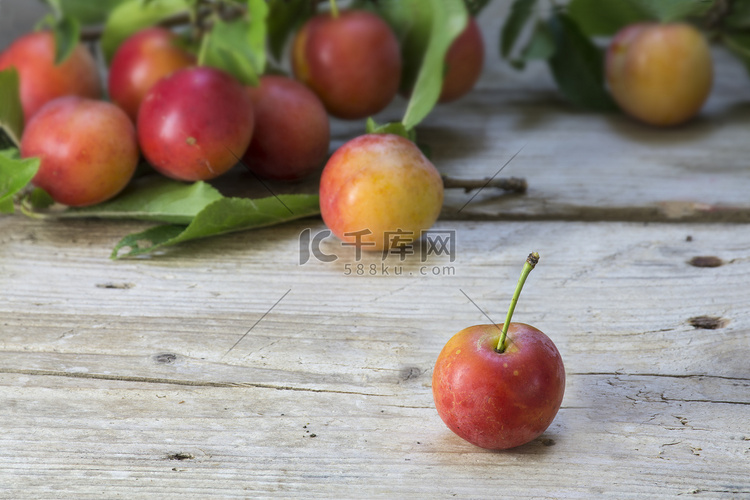 在旧的木板上的野生红李子高清摄影大图-千库网