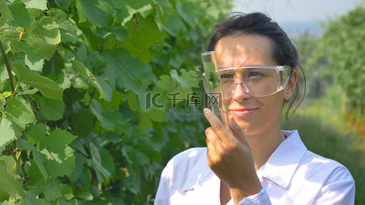 scientist doctor woman in white coat standing in green vineyard and ...