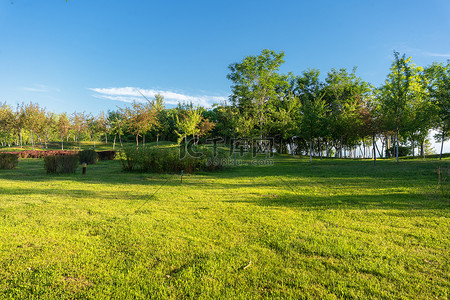蓝天下的公园草地摄影图配图高清摄影大图-千库网