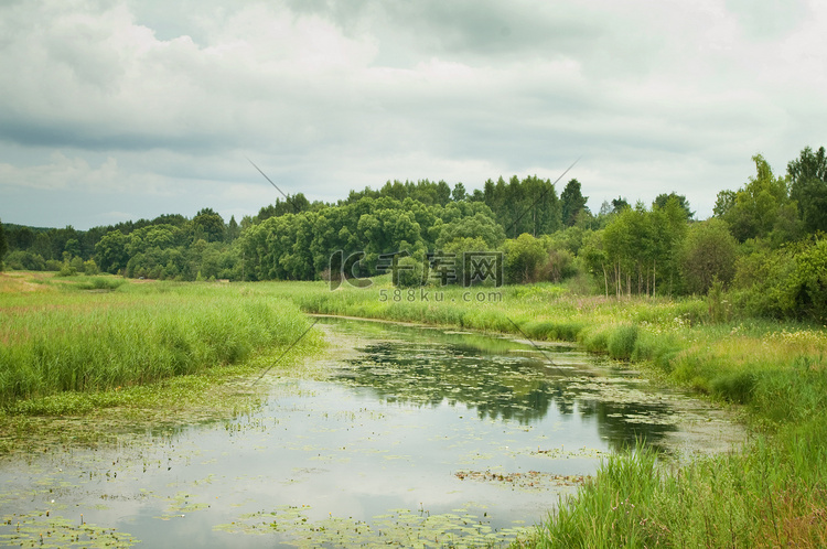 沼泽湖与百合高清摄影大图-千库网