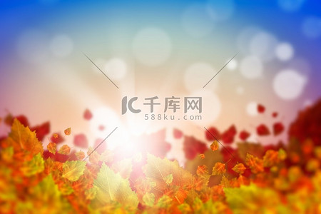 秋天的树叶。带有秋叶的背景图像。文本的位置高清摄影大图-千库网