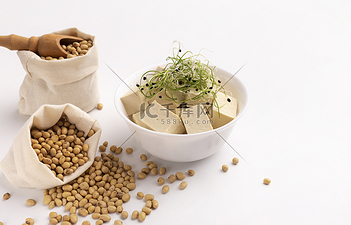 veggie图片-veggie素材-veggie模板图片下载-千库网