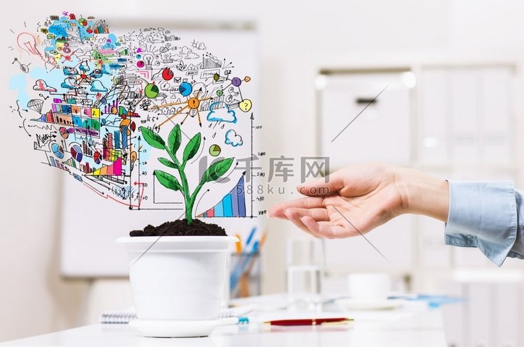 收入概念。人类手和装有摇钱树的锅的特写图像高清摄影大图-千库网