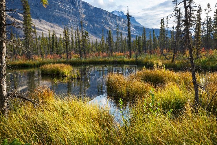加拿大山区美丽的秋季。树风景高清摄影大图-千库网