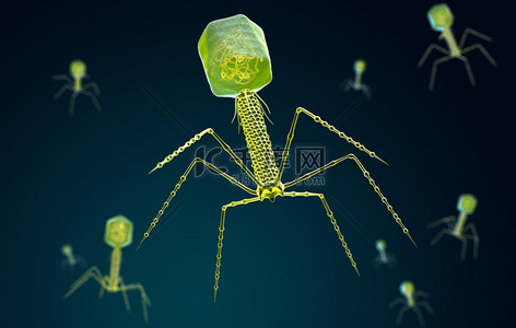 噬菌体的风格化可视化。3D插图。噬菌体的程式化可视化高清摄影大图-千库网