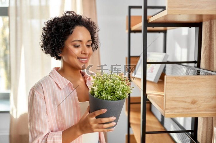 装饰，花卉，室内植物，架子高清摄影大图-千库网