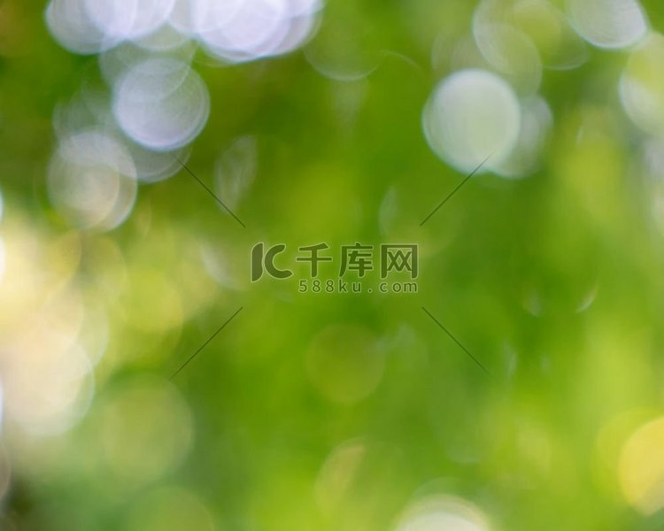 bokeh，自然，叶子，阳光高清摄影大图-千库网