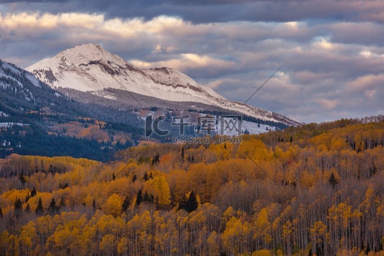 五颜六色的黄色秋天在科罗拉多州，美国。秋天的季节。高清摄影大图-千库网