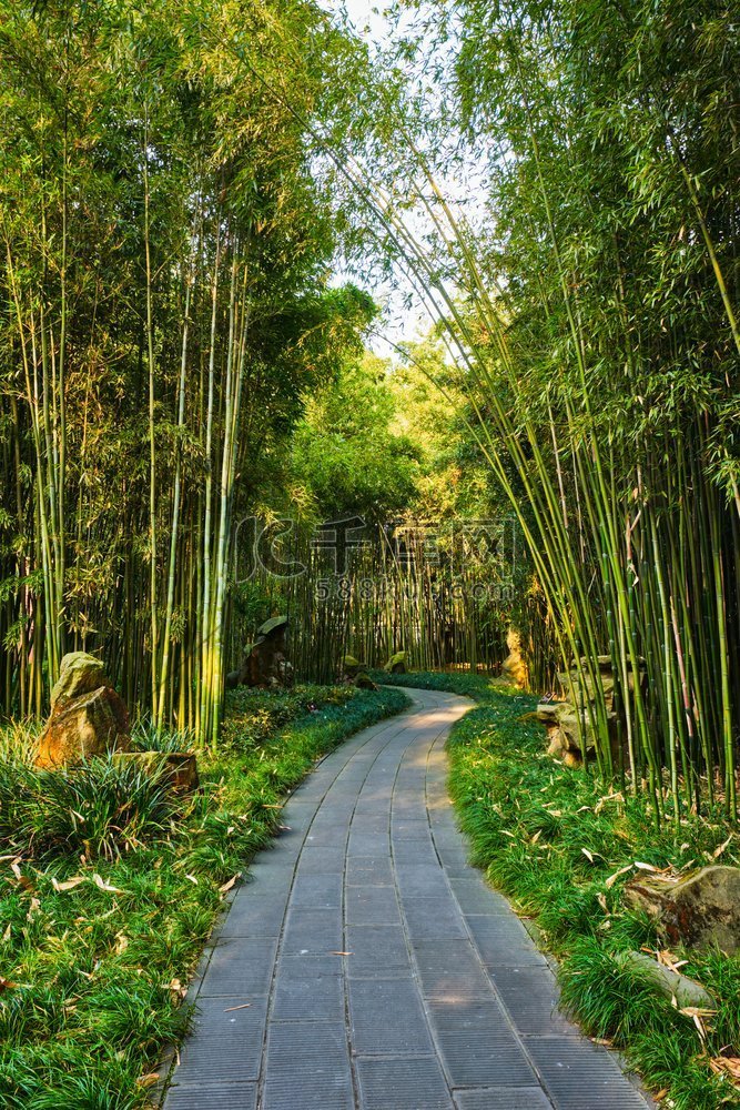 Path in bamboo forest brove in Wangjiang Pavilion (Wangjiang Tower ...