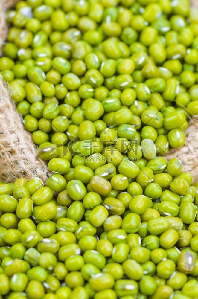 笼中鸟高清摄影大图-千库网