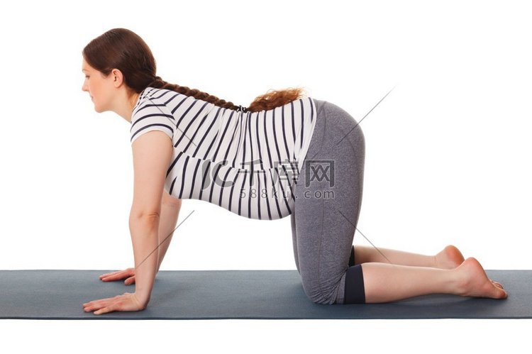 瑜伽，asana，Bitilasana，奶牛高清摄影大图-千库网