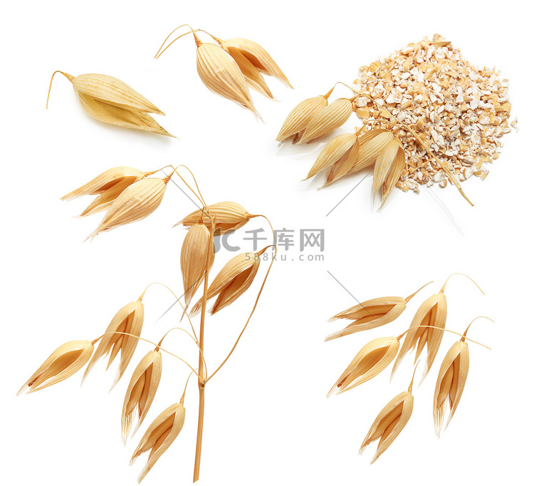 Oat ears of grain and bran isolated高清摄影大图-千库网