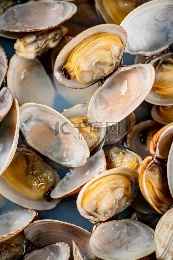 新鲜的vongole。宏观背景。纹理vongole。高质量的照片。新鲜的vongole。宏观背景。纹理vongole。高清摄影大图-千库网