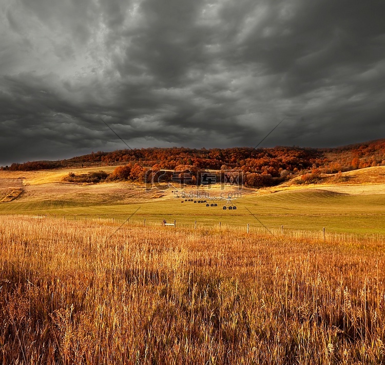 秋天的田野高清摄影大图-千库网